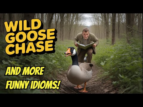 Bird Idioms You Didn't Know (and Their Origins)