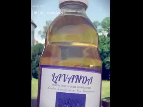 KADULJA I LAVANDA