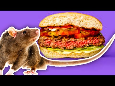 The 'Bleeding' Veggie Burger vs PETA