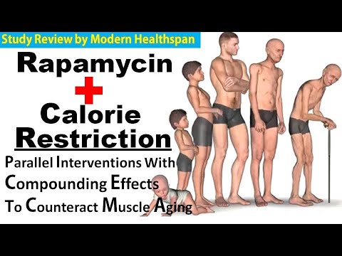 Rapamycin & Calorie Restriction - Parallel Interventions To Counteract Muscle Aging