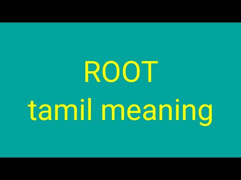 ROOT tamil meaning/sasikumar
