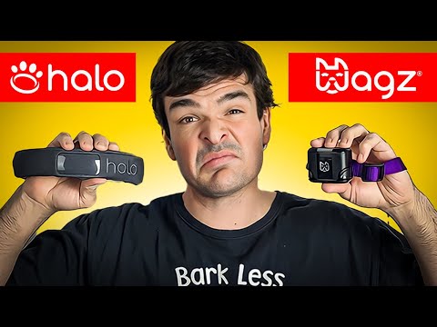Wagz vs Halo Collar (Which GPS Dog Fence For YOUR Pup?)