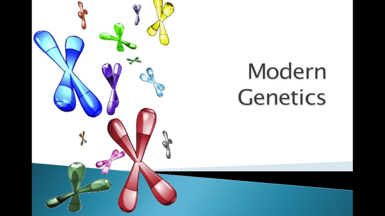 Modern Genetics DNA 1