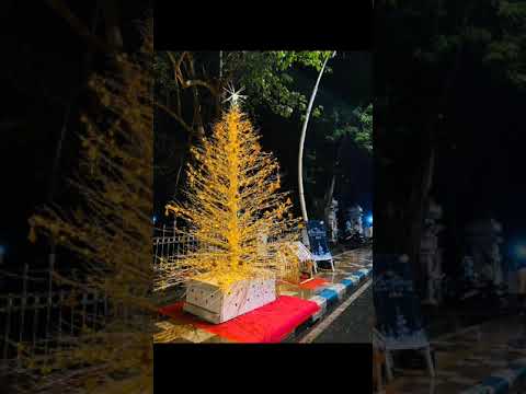 Pohon Natal - KMD Sikumana
