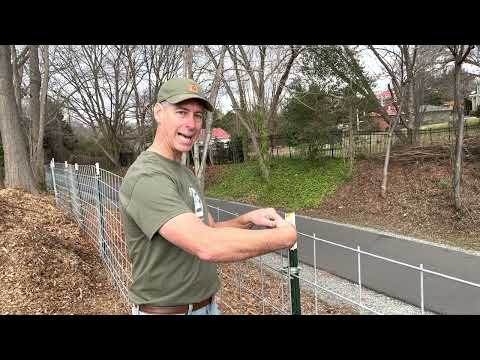 Livestock Cattle Panel Fence Installation