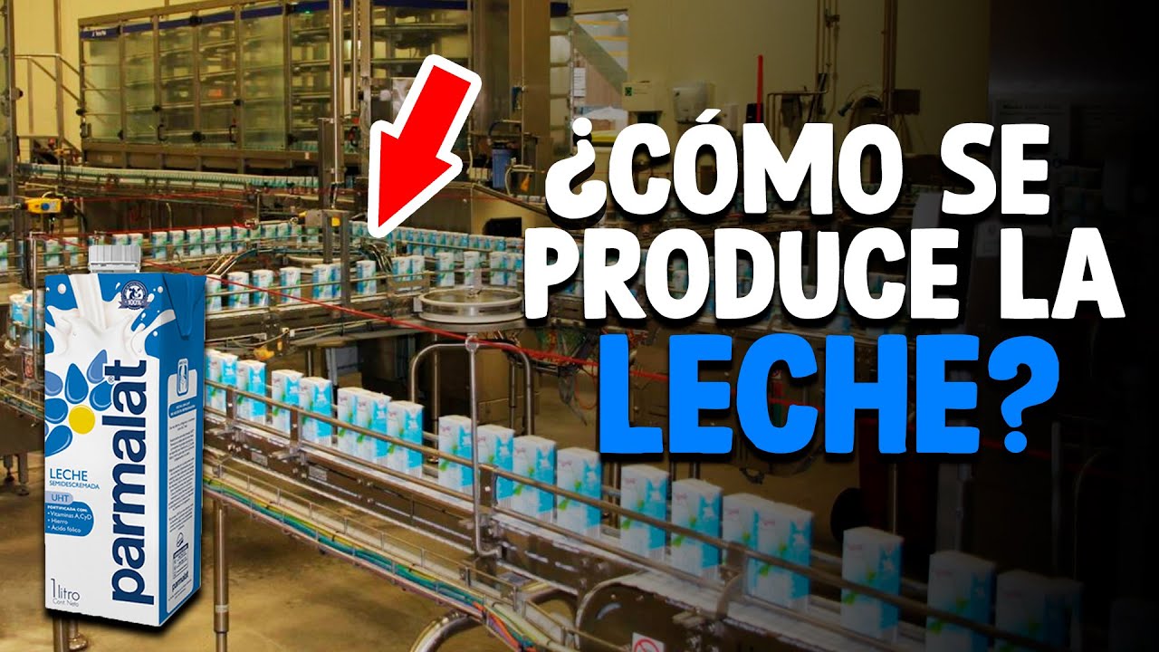 Cómo Se Produce La LECHE? [Proceso En Fábrica]