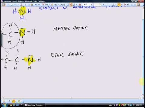 Functional Groups: Amines