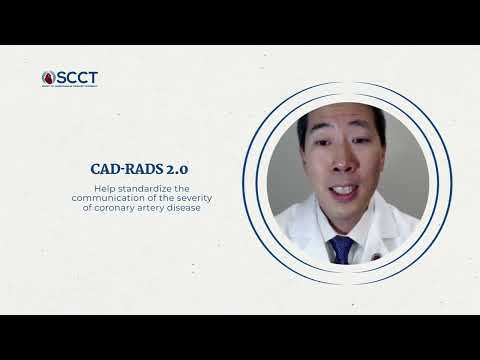 Understanding the coronary CTA Report: CAD-RADS