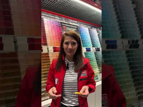 vidéo peinture EVALUX - Brico dépôt