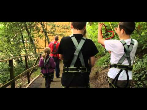Treetop Trek Brockhole - Explore the high trees in the heart of The Lake District