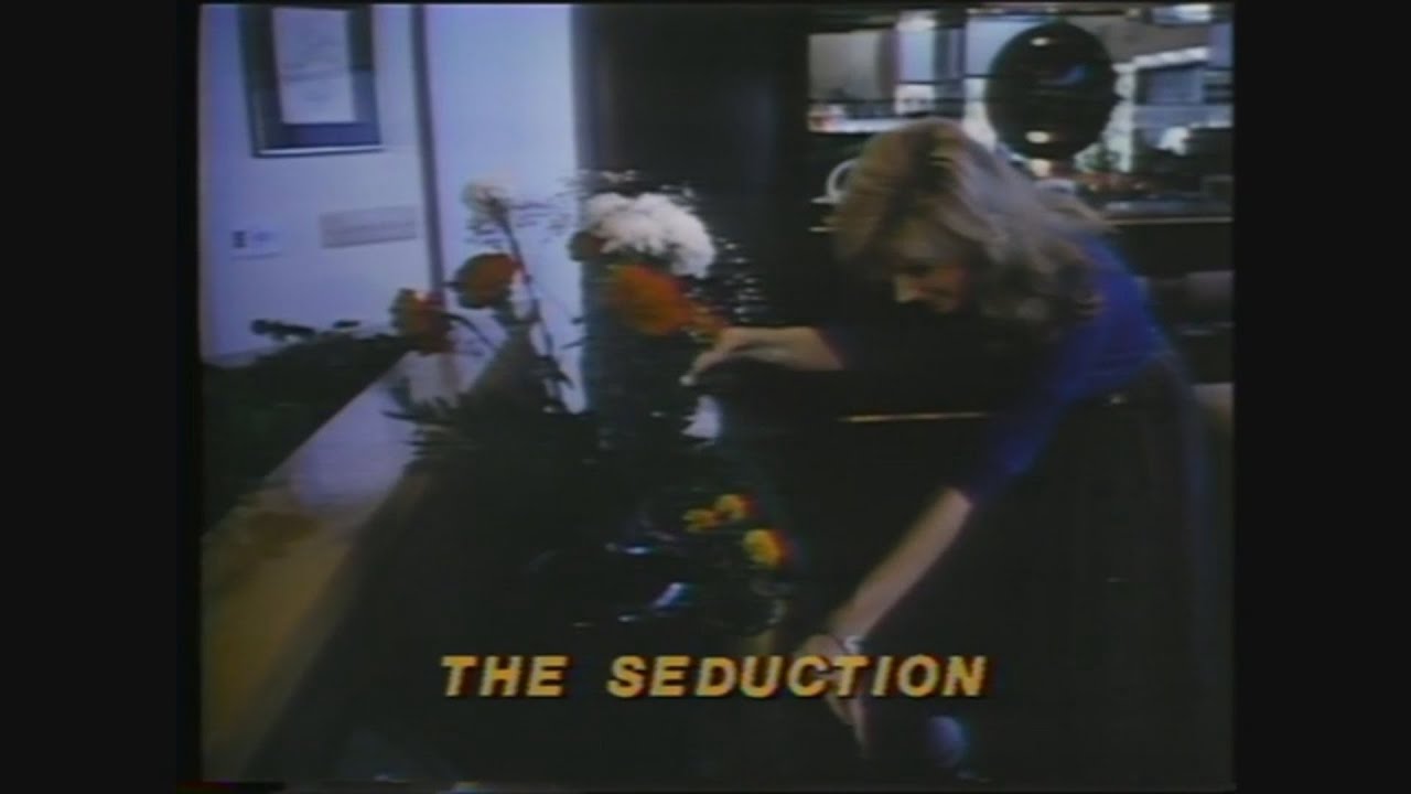 Siskel & Ebert / The Seduction / 1982