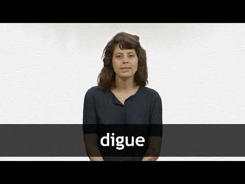 English Translation of “DIGUE” | Collins French-English Dictionary