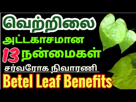 வெற்றிலை நன்மைகள்/betel leaf benefits/vetrilai benefits in tamil/வெற்றிலை கஷாயம்/health tips tamil