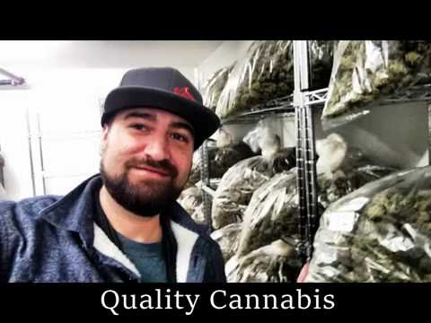 Cannabis Nerds Visit Noble Farms in Tacoma, WA i502 Warehouse