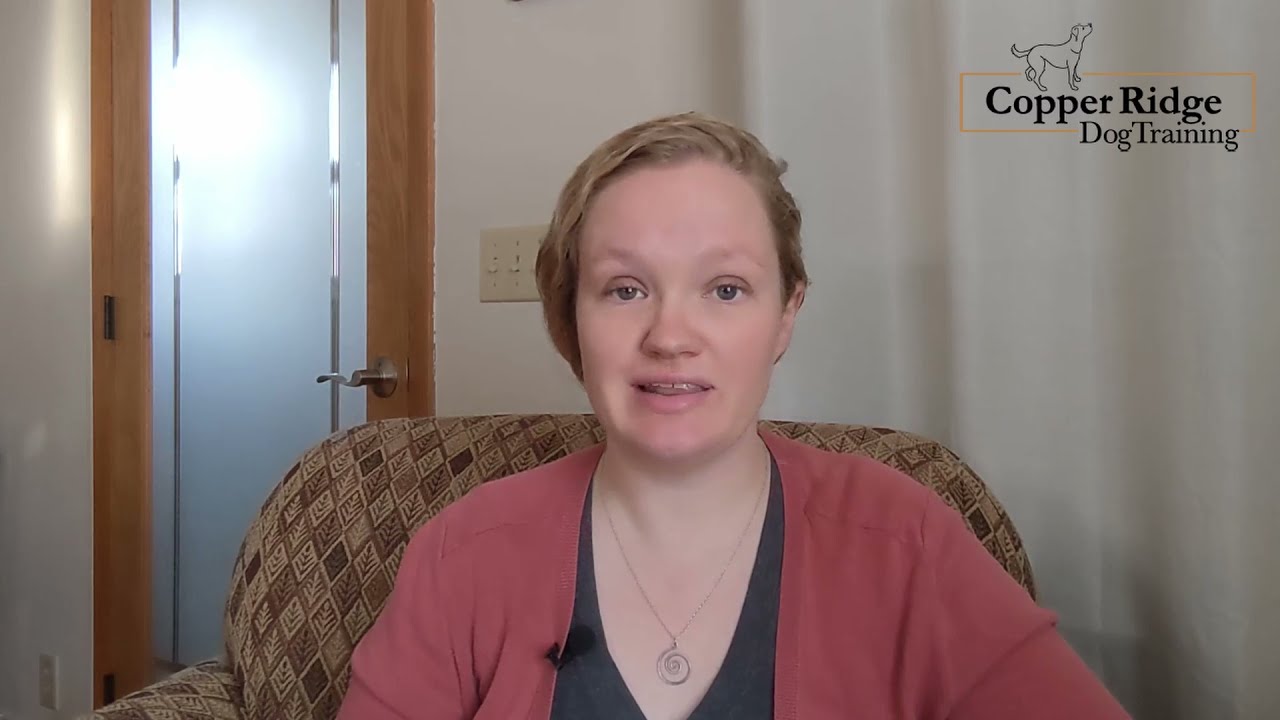 Program Description: Private Lessons