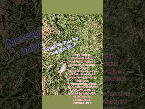 White feather spiritual meaning