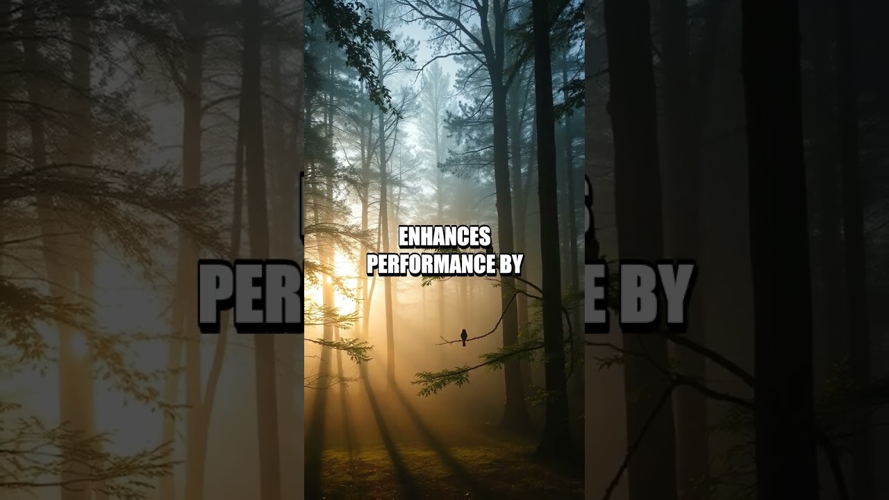 Leveraging Python's Map Function for Efficient Data Processing