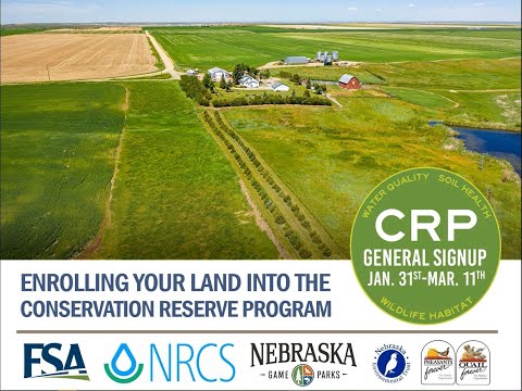 Are you ready to enroll? Learn the basics of CRP enrollment