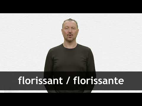 How to pronounce FLORISSANT / FLORISSANTE in French