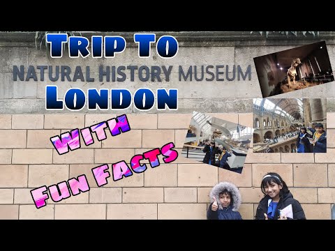 Trip To National History Museum London | Fun Facts For Kids | Family Vlog | World Of Yusraa and Yafi