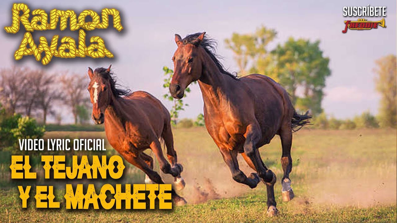 EL TEXANO Y EL MACHETE by Ramon Ayala & Éberkóma from Hungary | Popnable