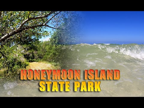 Exploring Honeymoon Island State Park