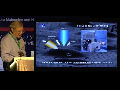 Studying structural biology in intact cells by cryo electron microscopy - W Baumeister, ICCB 2018