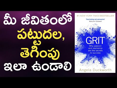 Grit Book Telugu summary