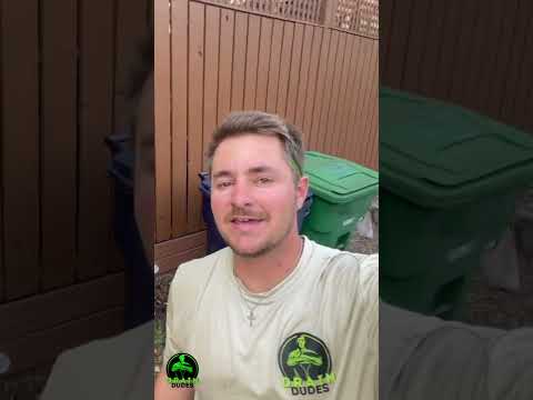 1/3HP Zoeller Sump Pump In Action | DIY Sump Pump Install