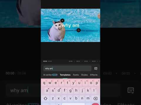 How to make cat meme videos but there is no commentary # #mariofun