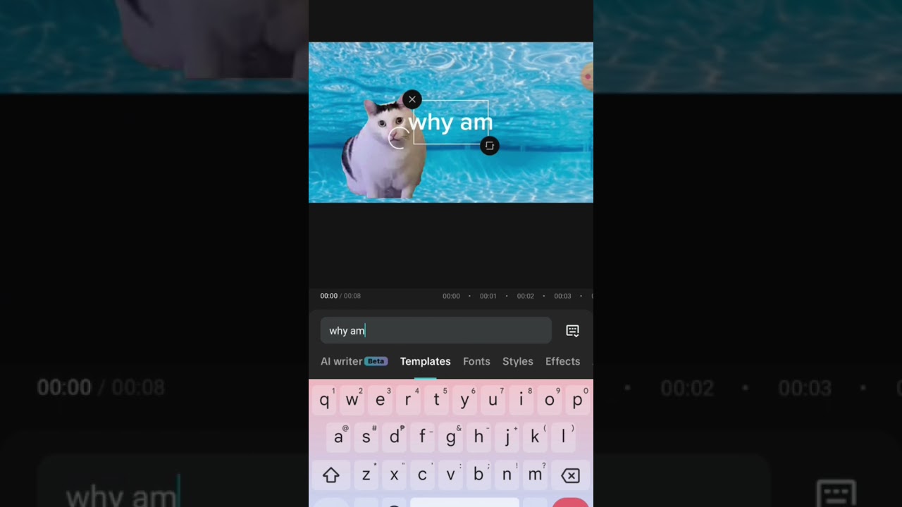 How to make cat meme videos but there is no commentary # #mariofun