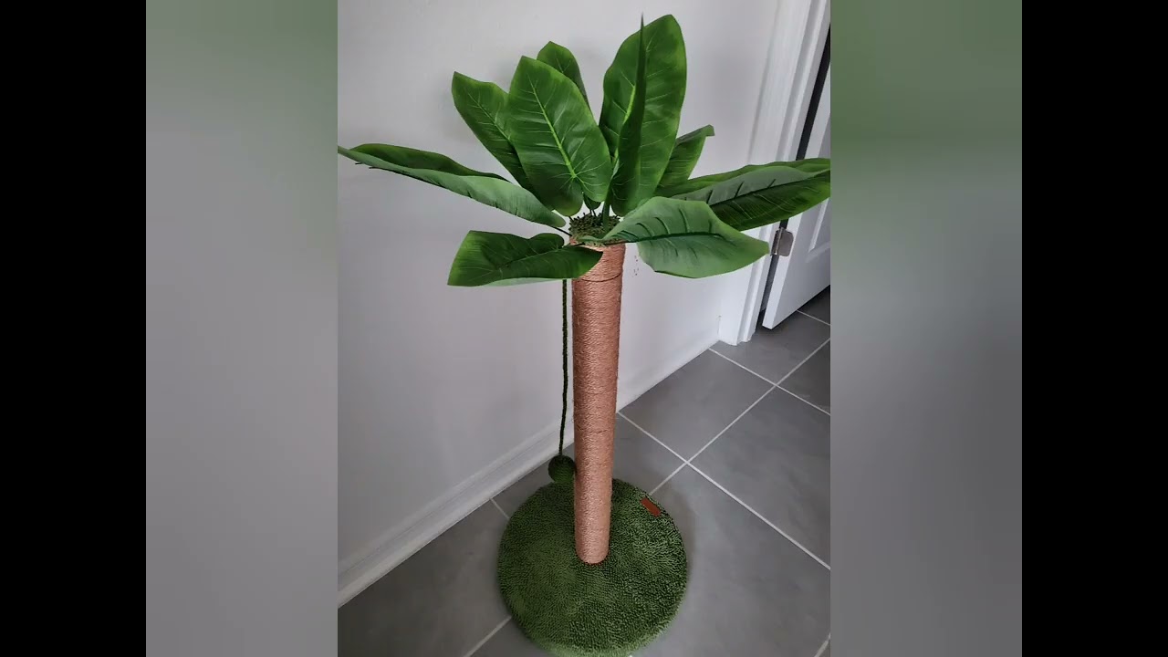 Meowoou 35” Cat Scratching Post | Overview & Review for Indoor Cats