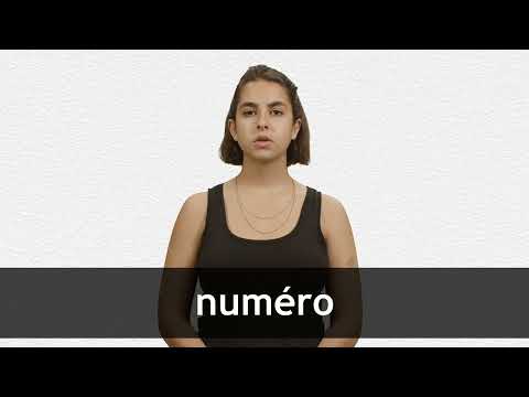 English Translation of “NUMÉRO” | Collins French-English Dictionary