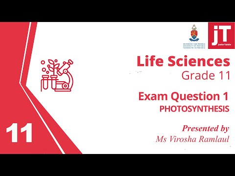 5 Gr 11 Life Sciences - Photosynthesis - Exam Question 1