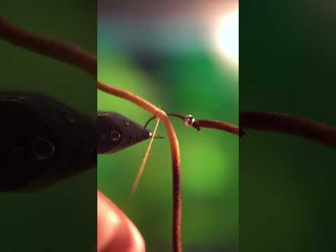 Lollipop Worm - #flyfishing #flytying #lollipopworm #squirmywormy #sanjuanworm