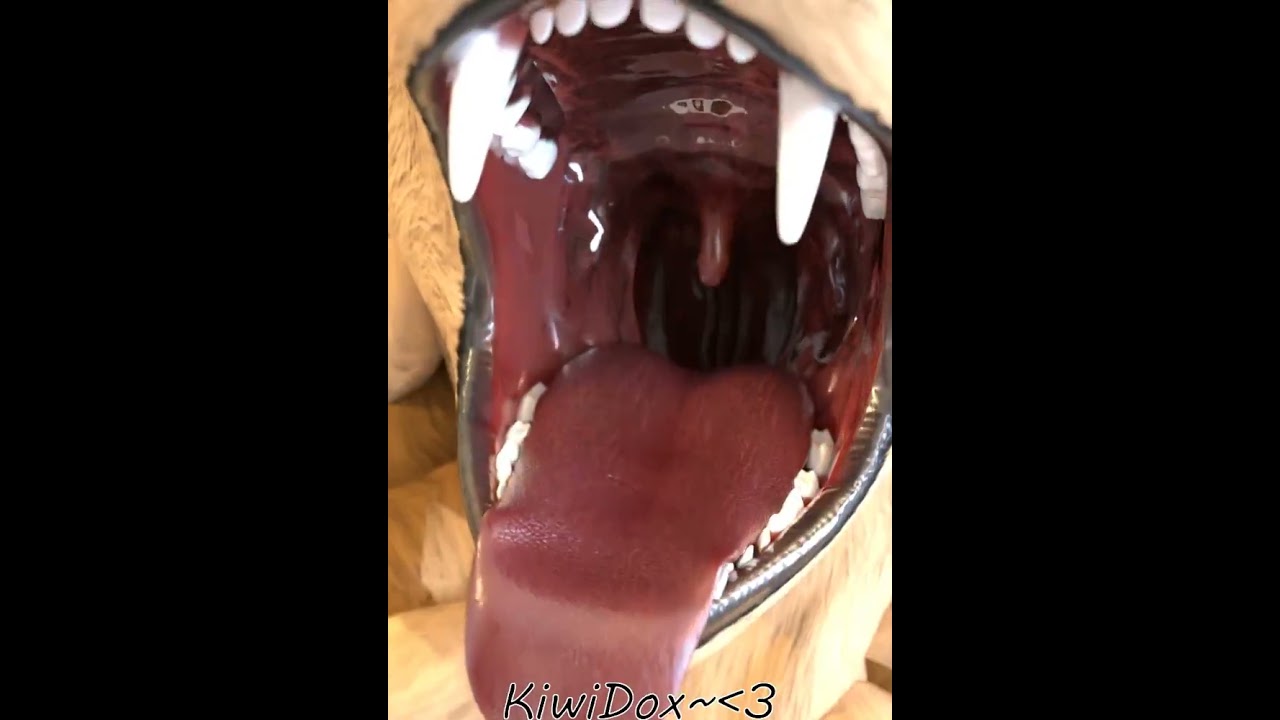 Comiendo dulces #furry #vore