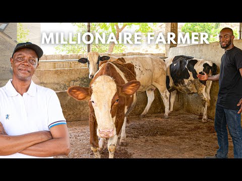 How This Nigerian Built a Successful Dairy Farm from Scratch