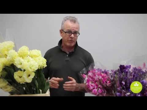 The Mayesh Minute: Japanese Lisianthus
