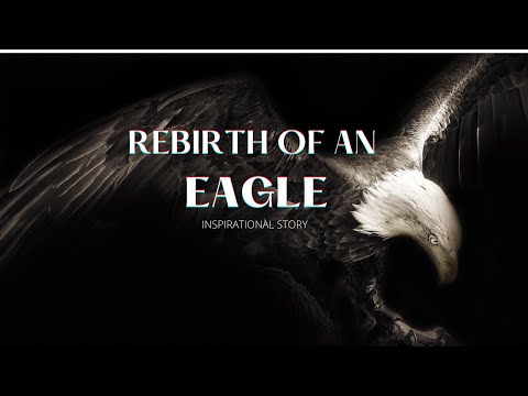 REBIRTH OF AN EAGLE - An Inspirational Video