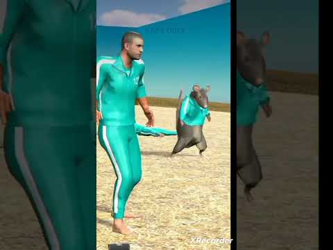 Rata bailando en el juego del calamar