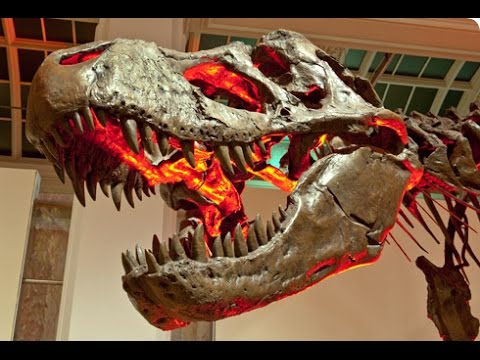 Don Patton - the Creation Model vs Evolution Model (all videos 1-7)