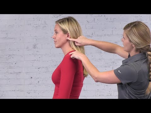 Static Postural Assessments