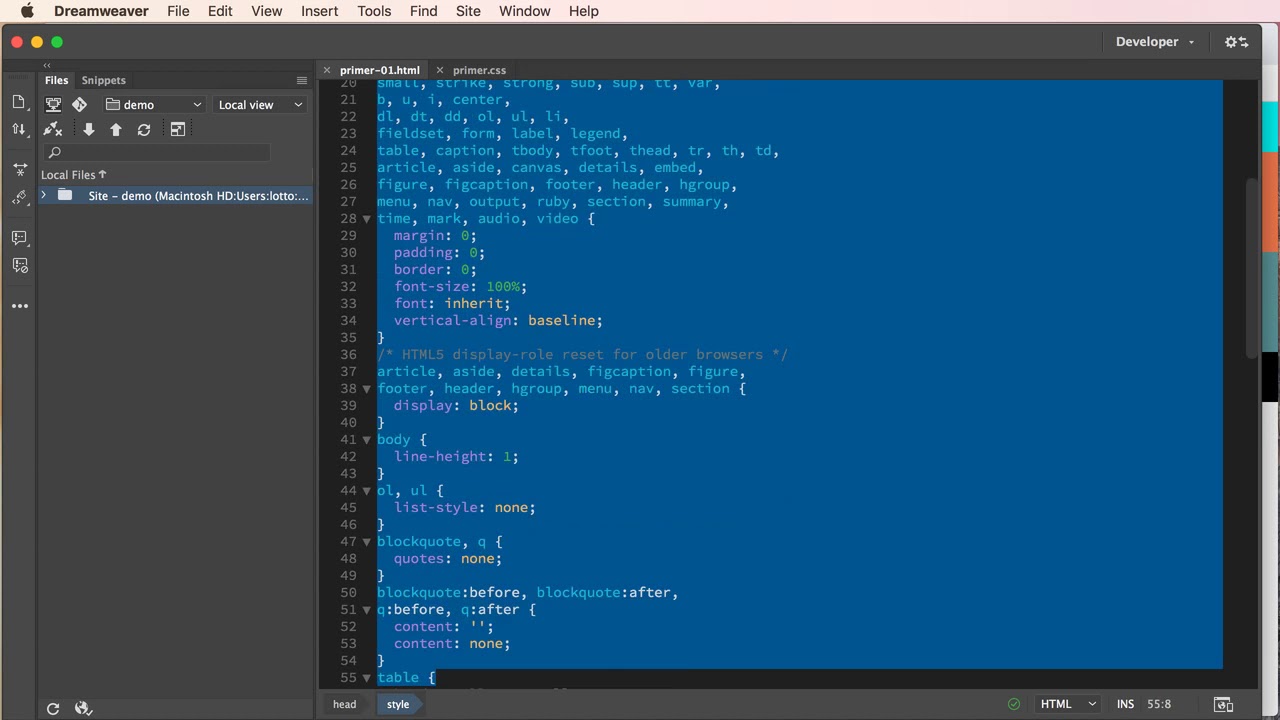03 ex06 primer css reset and link