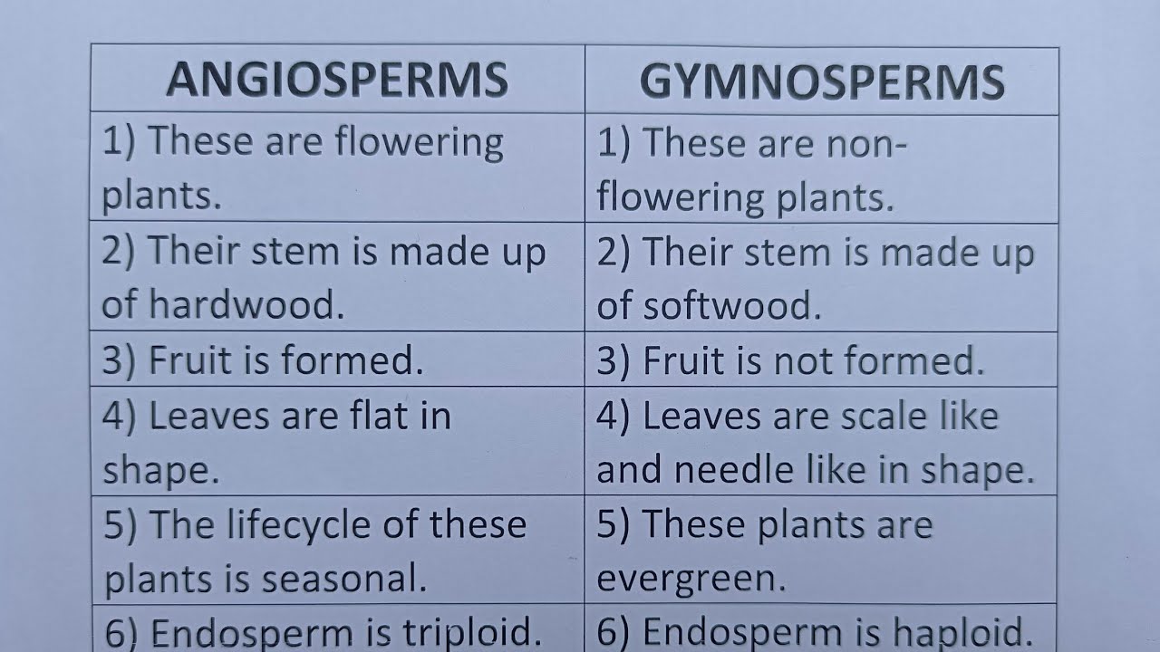 Difference Between Angiosperms And Gymnosperms?-Class Series
