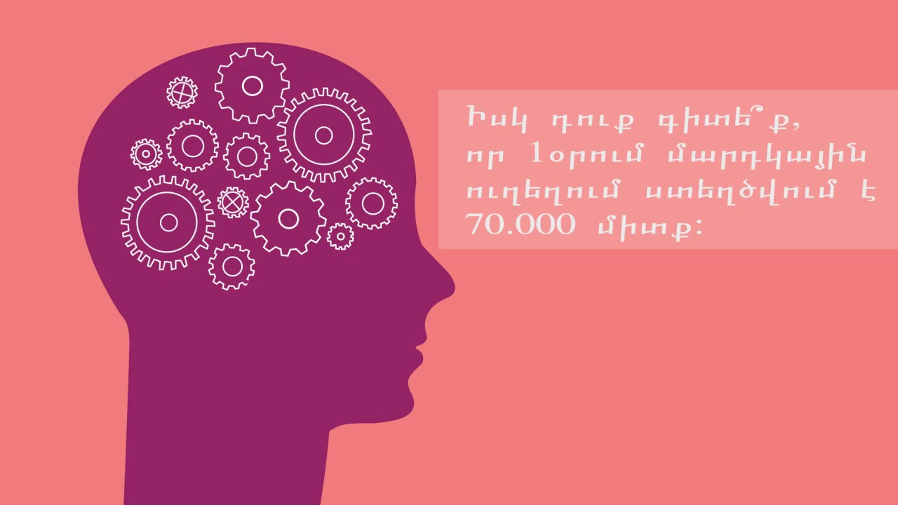 Brain (infographic)