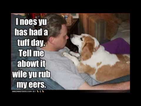 funny Pictures with captions
