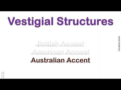 Vestigial Structures How to Pronounce Vestigial Structures in Australian, British Accent ?
