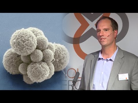 Dan Gibson: Design and Synthesis of cells from the bottom up