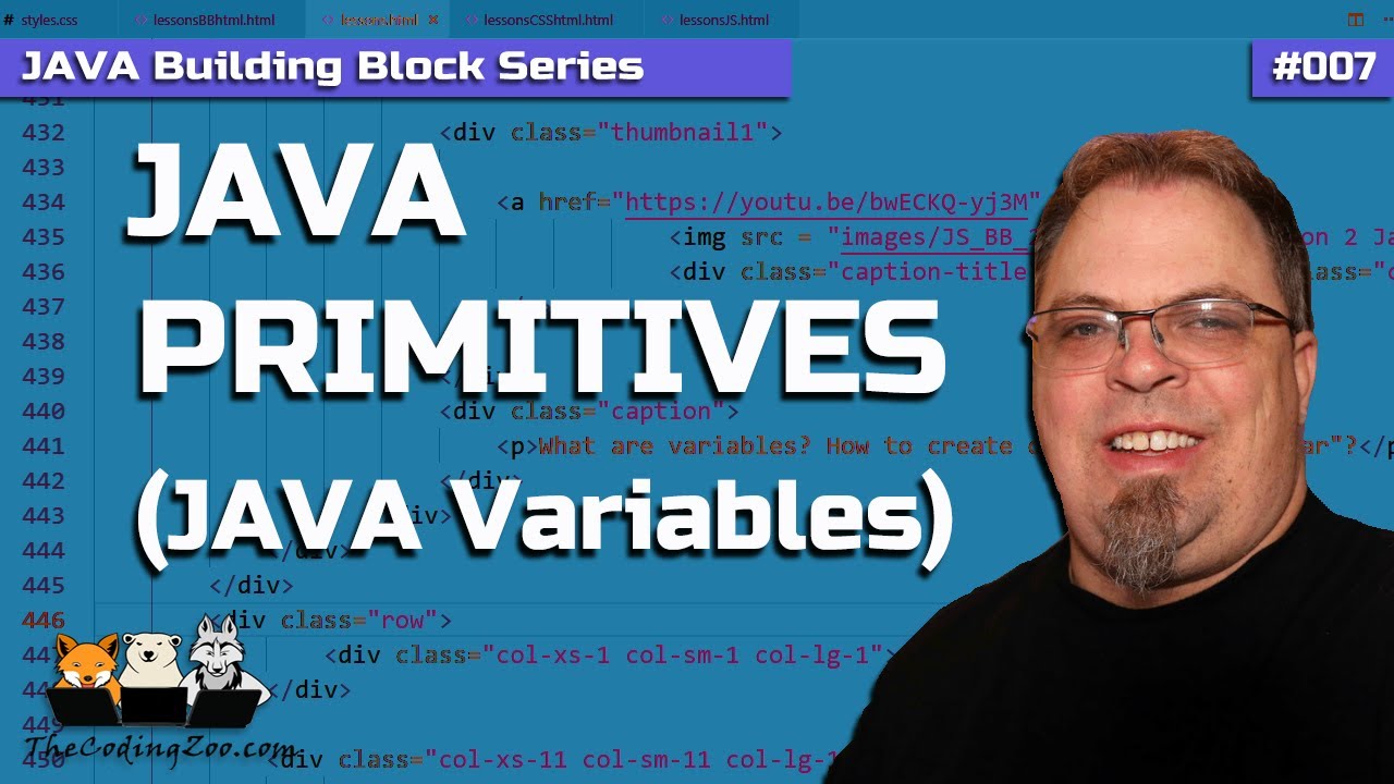 Java Primitives : Learn about Java primitive data types