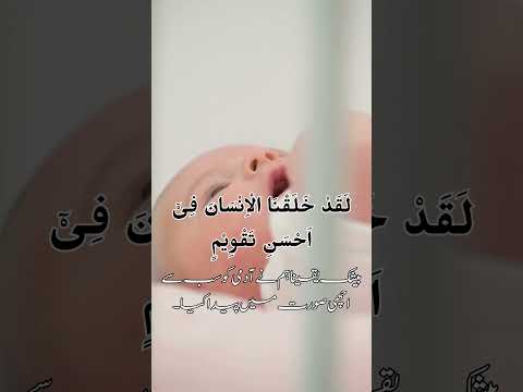 Surah Al-Teen with Urdu Translation | سورۃ التین اردو ترجمہ کے ساتھ